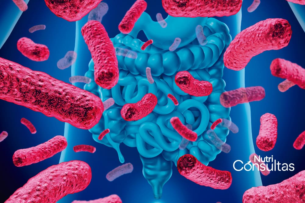Beneficios de los probióticos: función y tipos - Nutriconsultas